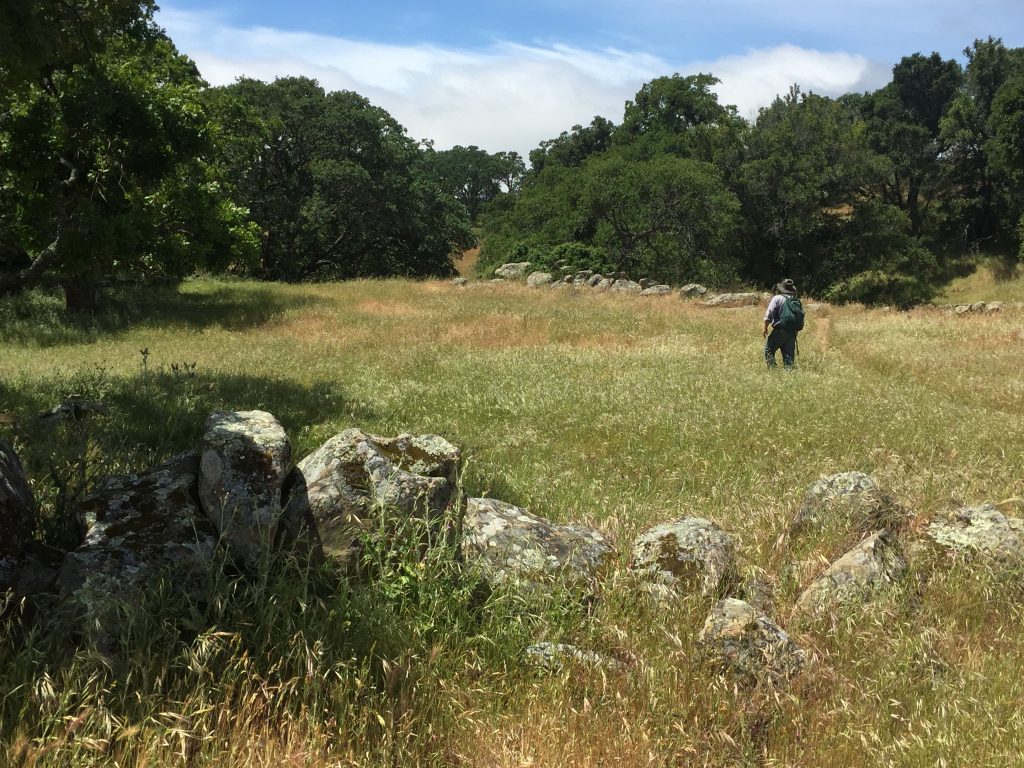 The Stone Corral – Livermore – East Bay Hill People