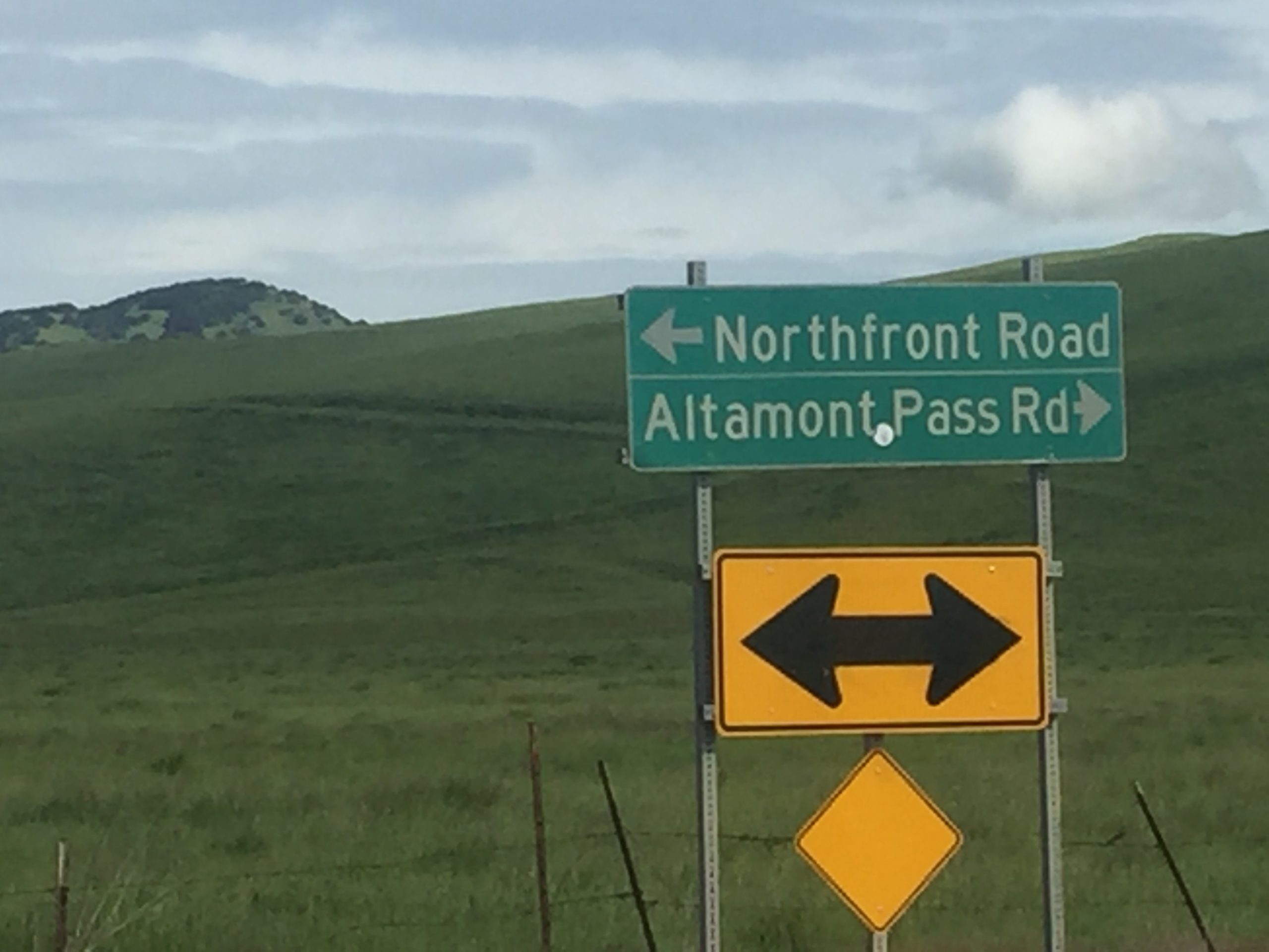 IMG_4597 – East Bay Hill People