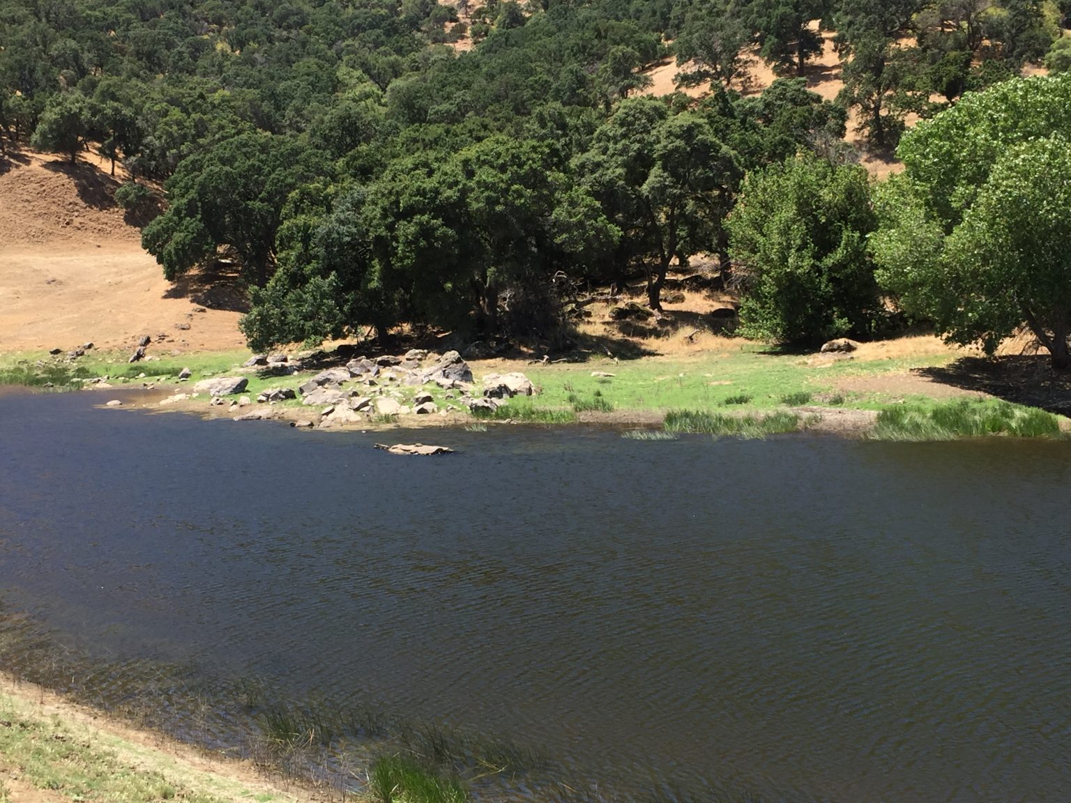 Log Cabin and Pond Villages – Byron – East Bay Hill People