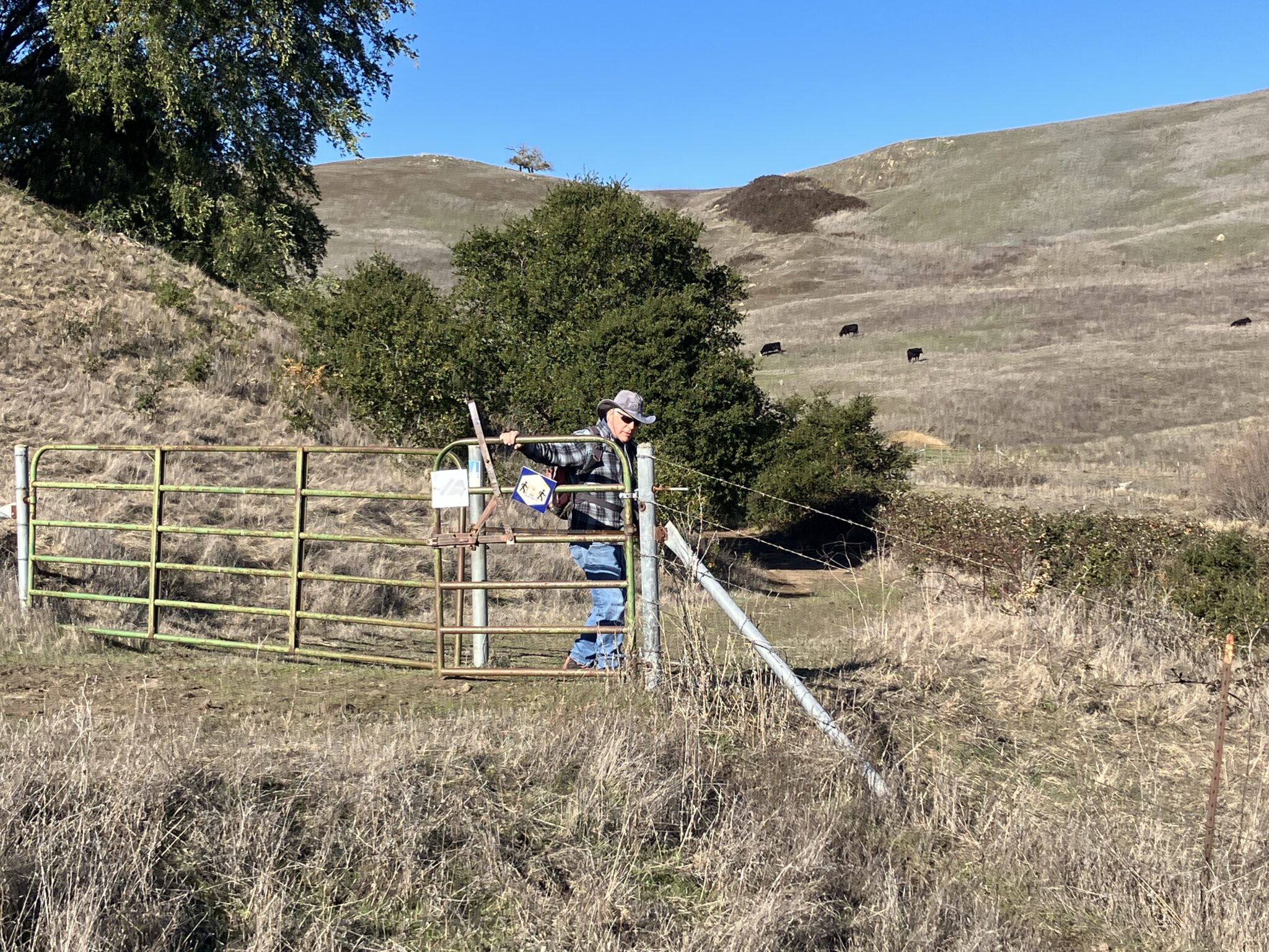 Lynch Canyon – American Canyon – East Bay Hill People