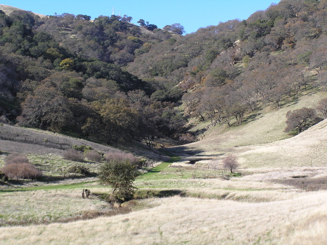 Tolenas Springs – East Bay Hill People