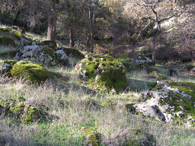 Tolenas Springs – East Bay Hill People