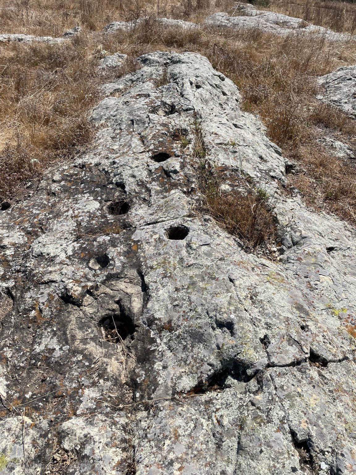 More Morro Rock – East Bay Hill People
